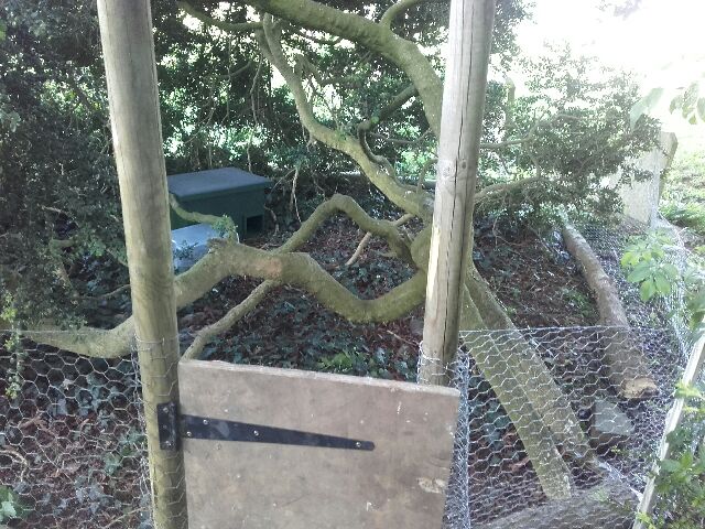 New Hedgehog house installed. – Glatton HogBlog