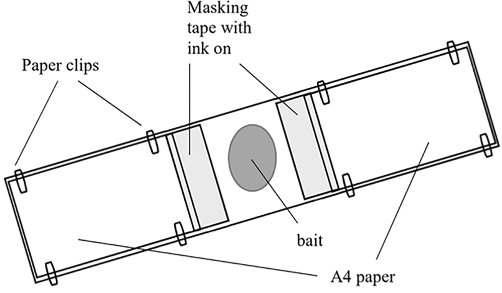 Footprint Tunnel Instructions – Glatton HogBlog