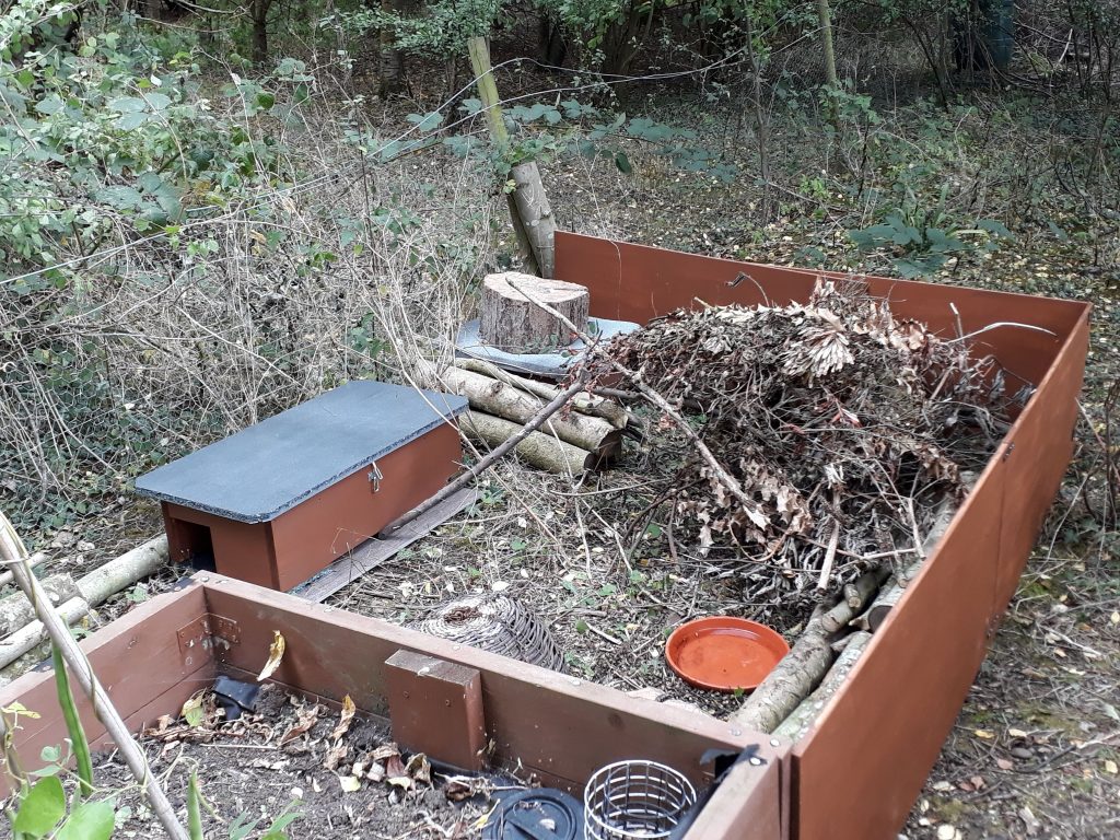Hog Enclosure – Glatton HogBlog